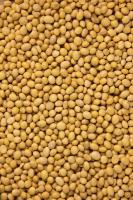 Соя для проращивания (1000 г)